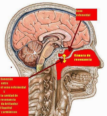 BELCANTO ITALIANO: Come si usa il palato molle nella tecnica vocale del ...