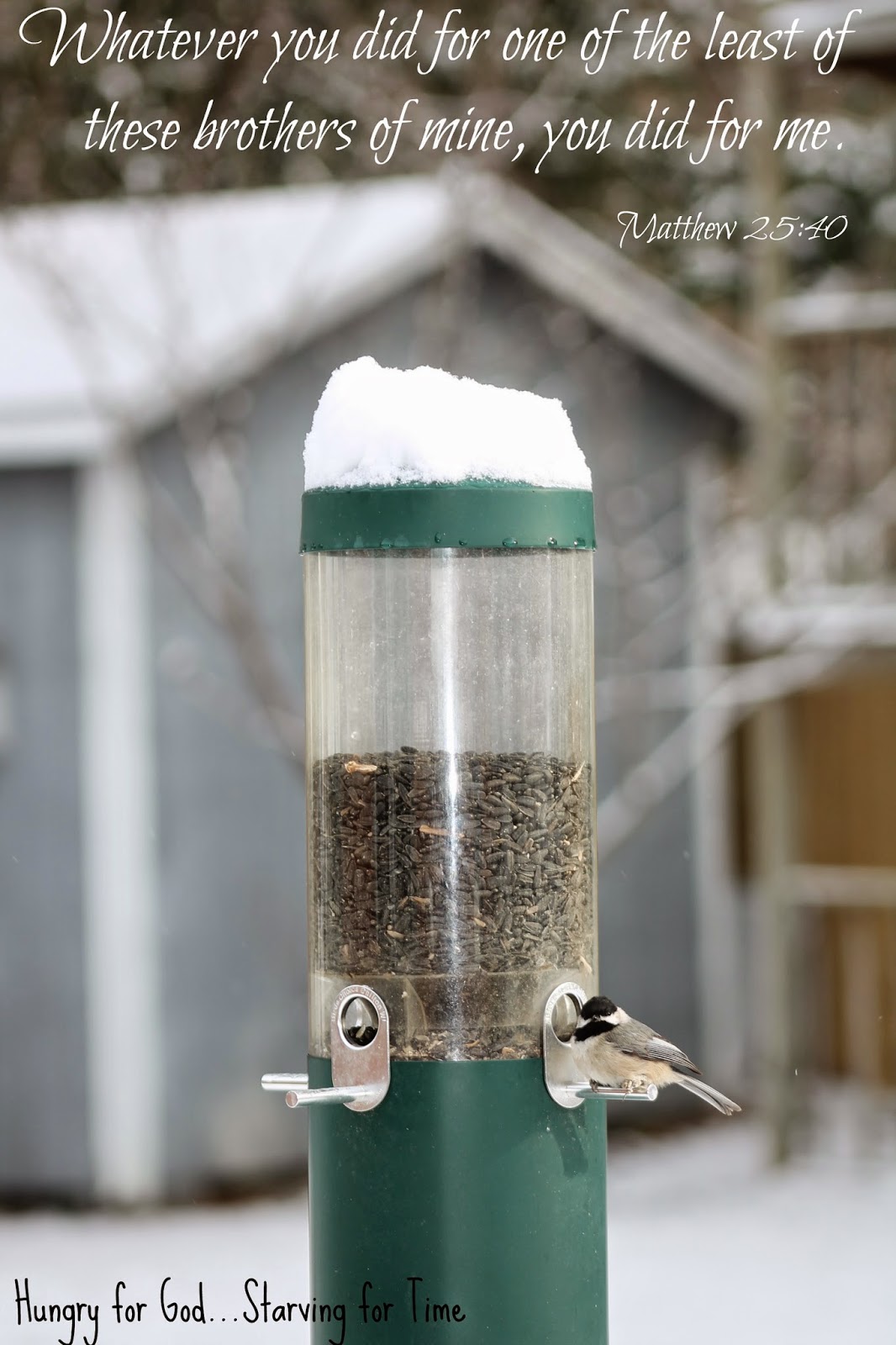 Hungry for God: Cleaning Jesus' Teeth