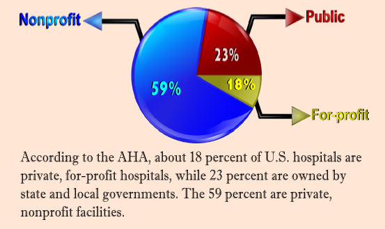 Hospital Governance Structures Explained in Details - Afidated