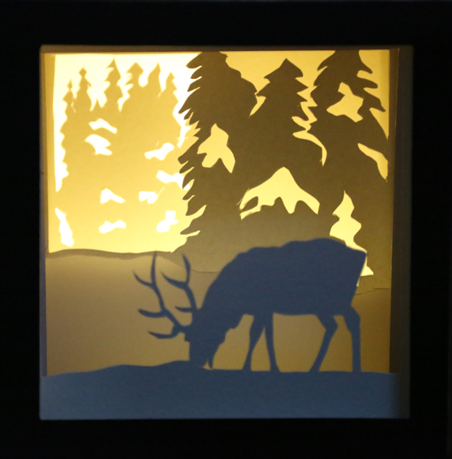 Su Blackwell Studio Blog: Yesterday's light box workshop