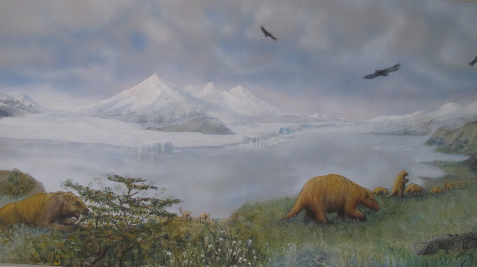 América en 2 Ruedas: Cueva del Milodón