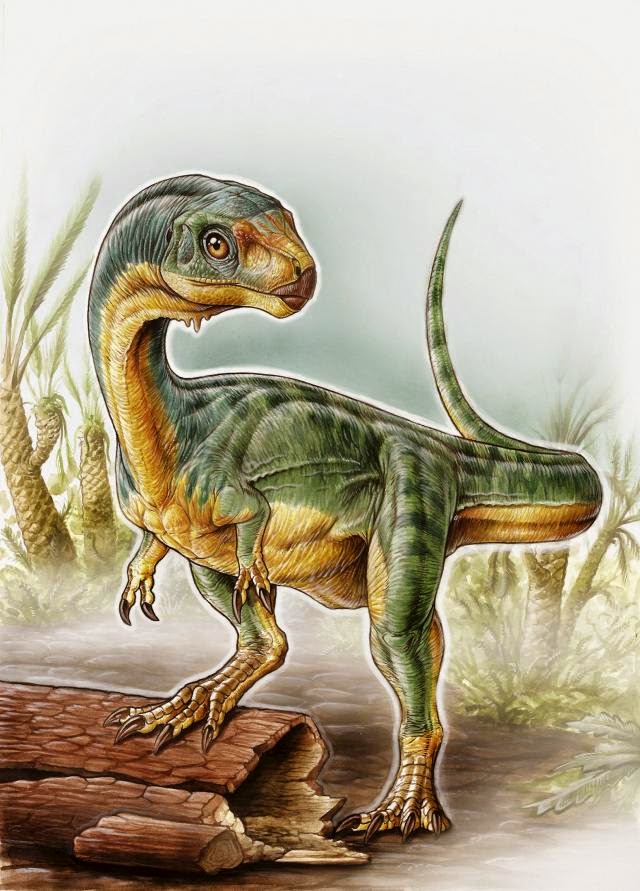 Yamana Earth: Conozca al "Chilesaurus diegosuarezi",