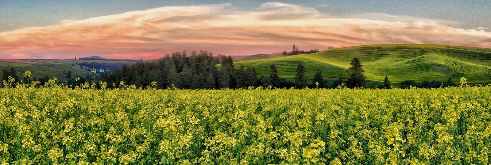 Palouse Photography Tours