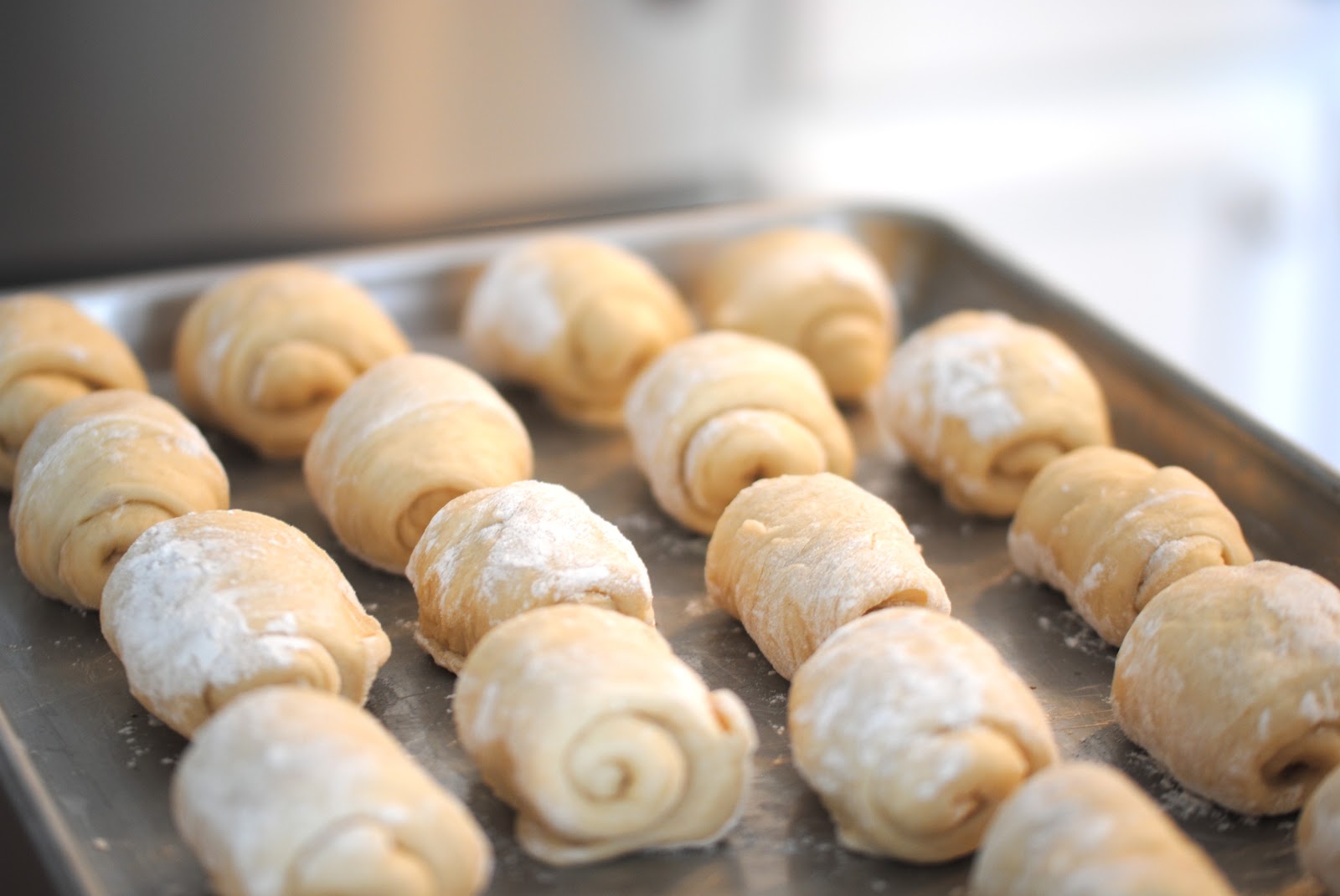 m a x + l u l a c o o k: Dinner Rolls