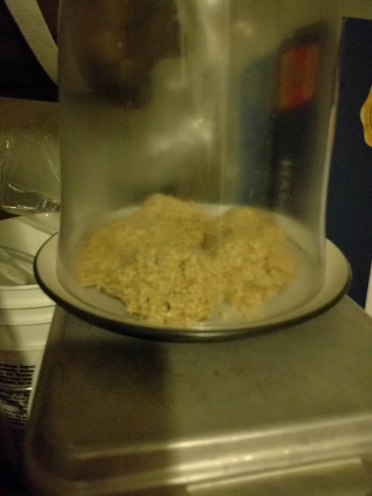 Making Exceptional Yeast Cakes