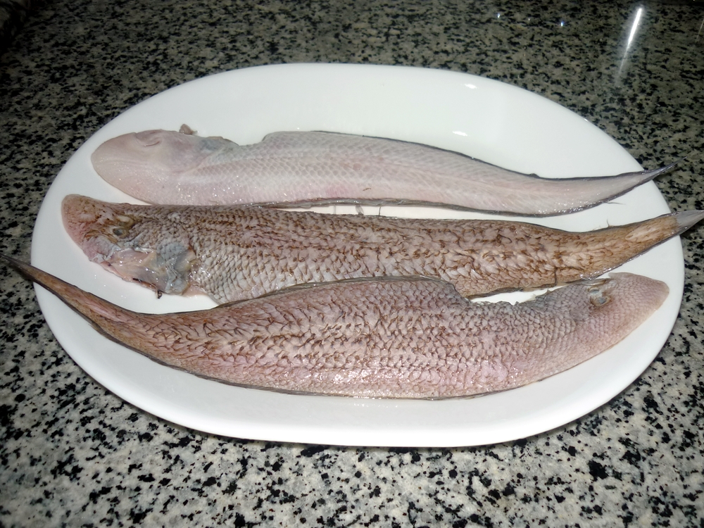aunty celia's family meals: Two ways to serve the slipper fish or sand ...