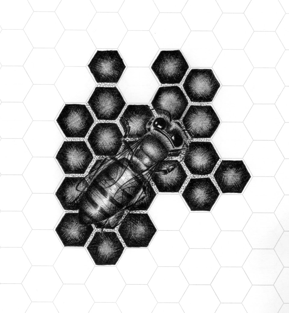 For Illustrative Purposes Only: You're the bees knees but so am I...