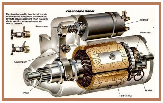 Pre-Engaged Starter - EEE COMMUNITY
