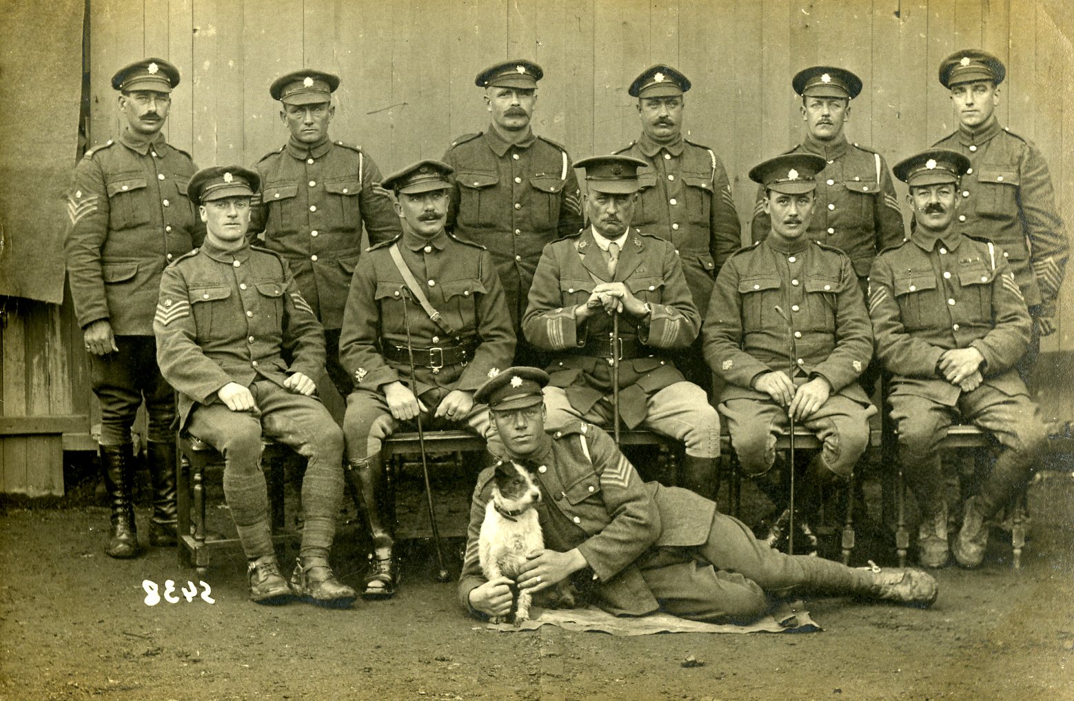 14 Heartwarming Vintage Photographs of Soldiers Posing With Their Dogs ...