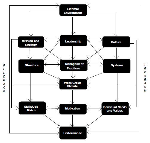 e-HRM Inc: Organizational Diagnostic Models