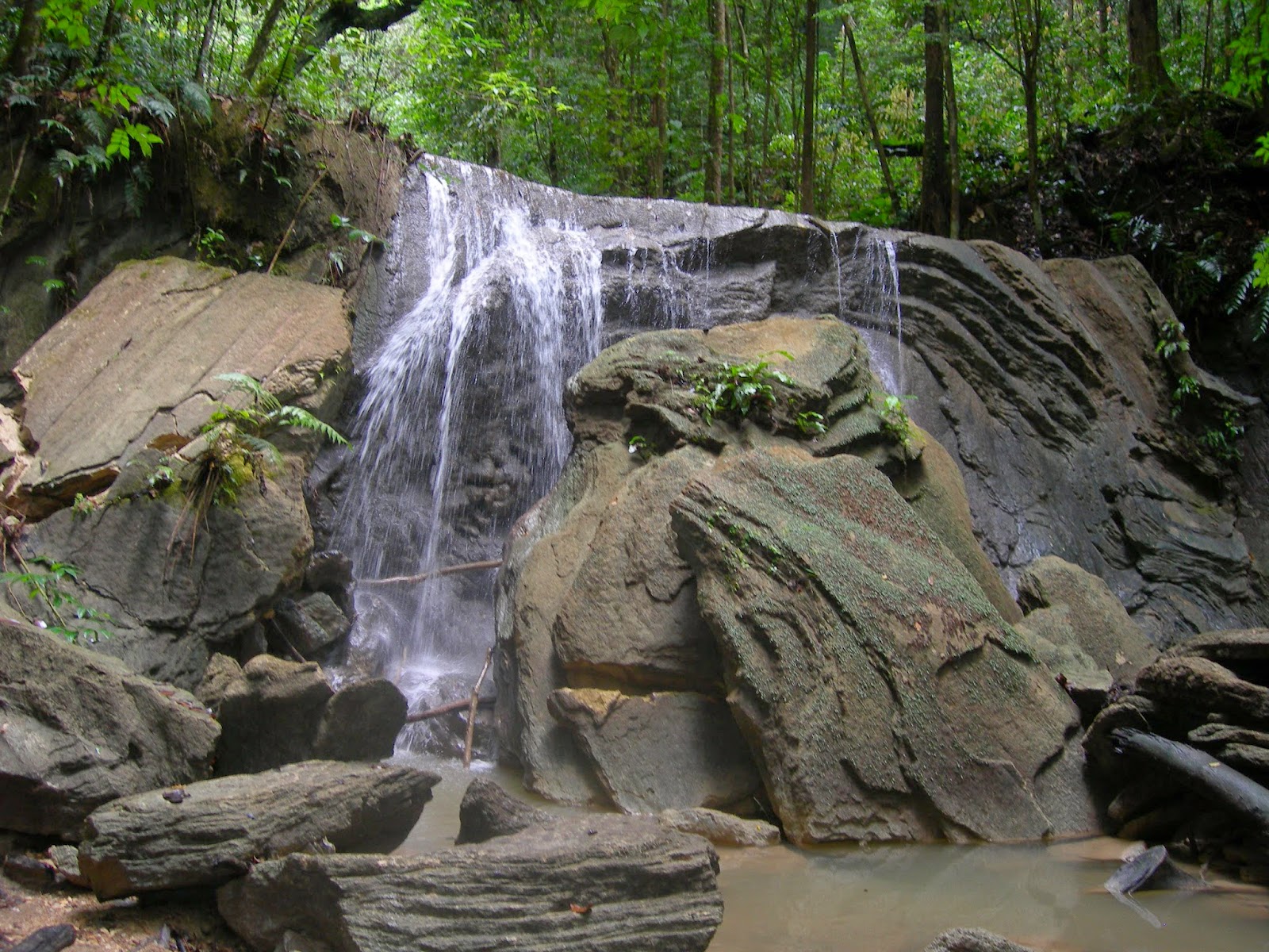 Places of Interest in Trinidad: EL TURURE WATERSTEPS