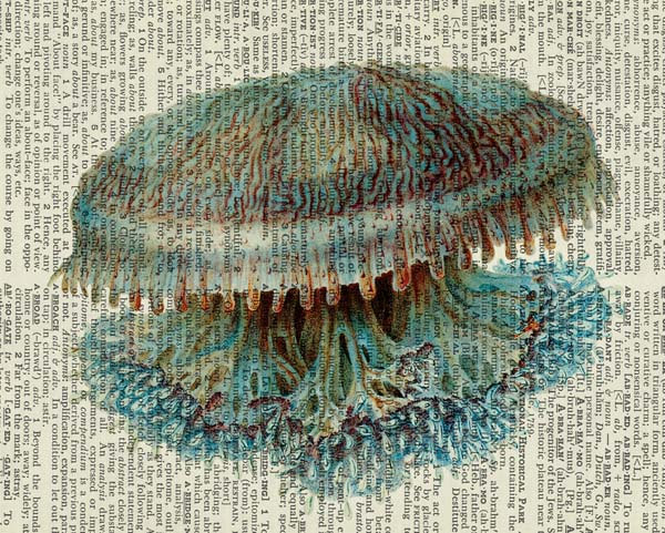 ScrapCraft.ru: Невозможно прекрасное: маленькие шедевры Jean Cody