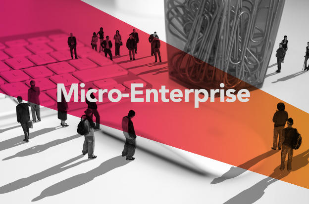What Is Microenterprise? Microenterprise Definition Explained - OLBlog