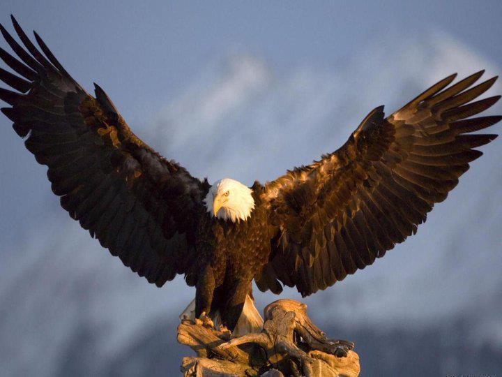 Capodanno a L' Aquila