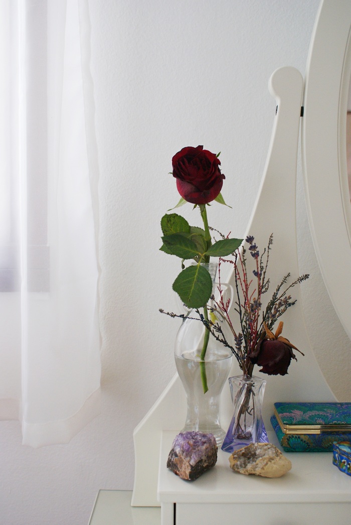 HOW TO: CREATE YOUR BEAUTY CORNER AND DISCOVER SOUFEEL | Francine's Place