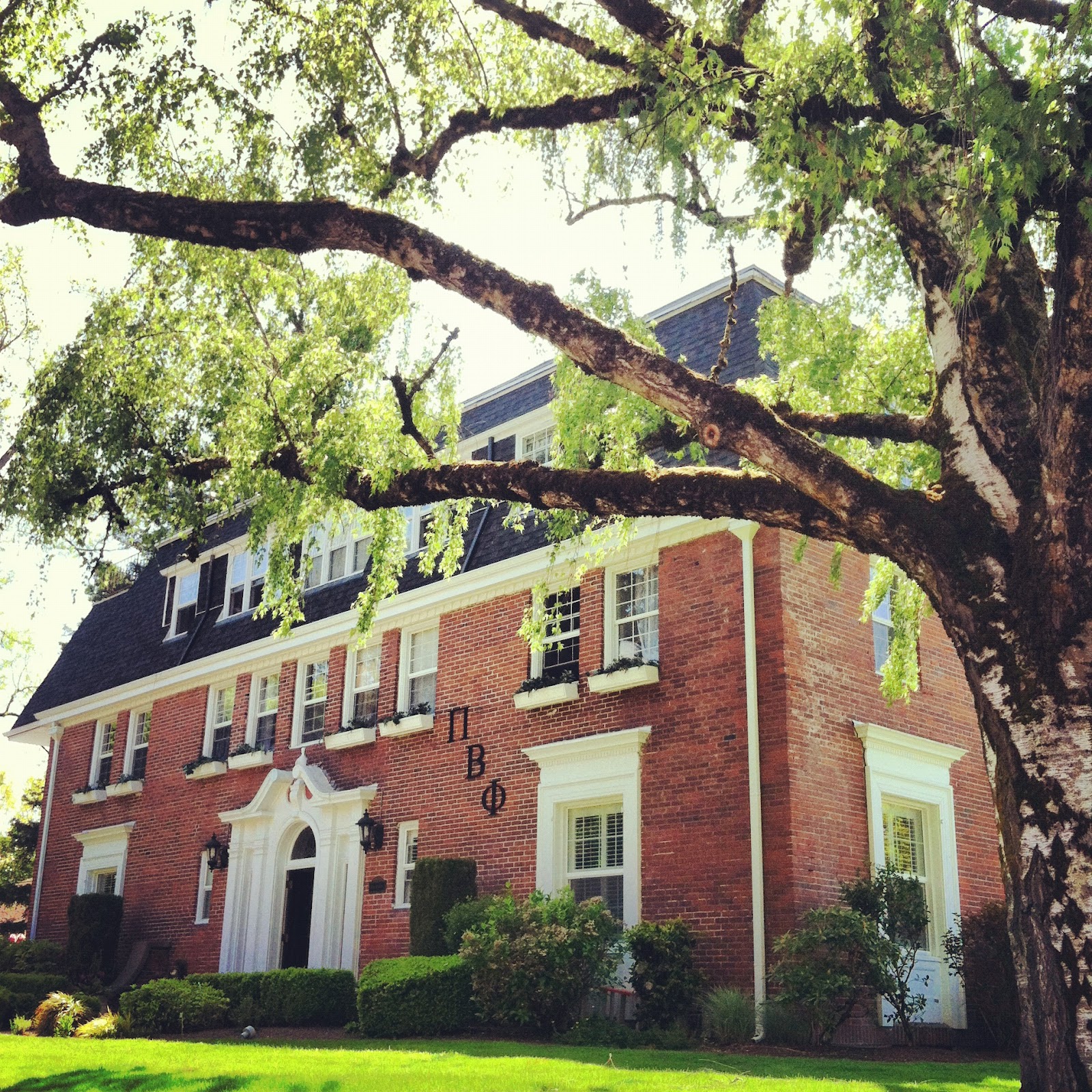 University of Oregon Sorority Recruitment: Pi Beta Phi