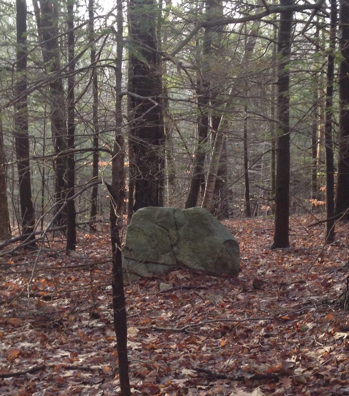 A New England Woodland: Notched Stones