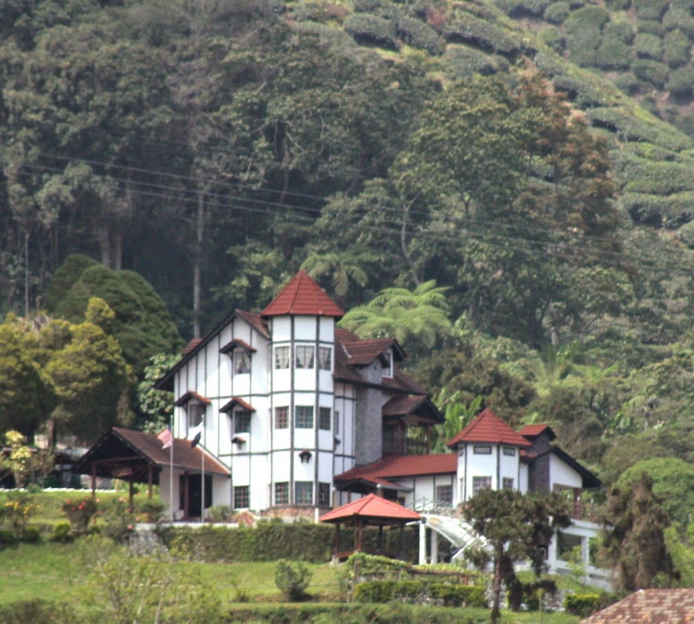 David: Cameron Highlands - Houses