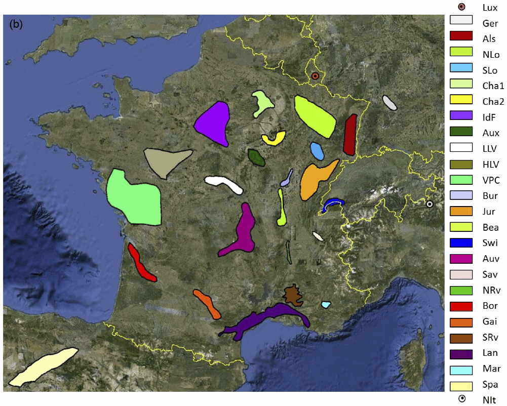 The Genealogical World of Phylogenetic Networks: Grape harvest dates as ...