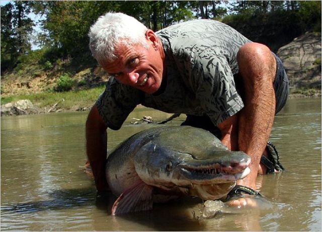 Waiting BD: The Scariest River Monsters Fish in Honor of Halloween (30 ...