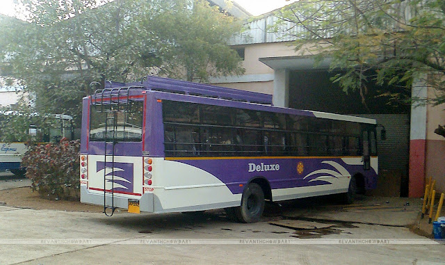 LOVE of Z: New DELUXE Buses