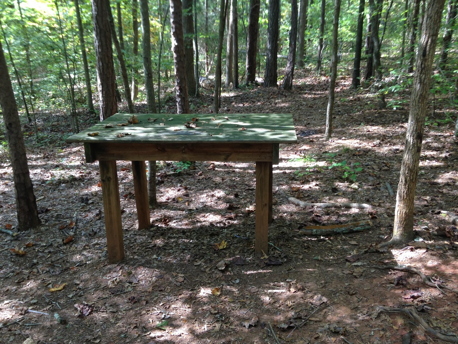 NC BACKCOUNTRY: HIKING AT ANNA SPRINGS CLOSE GREENWAY