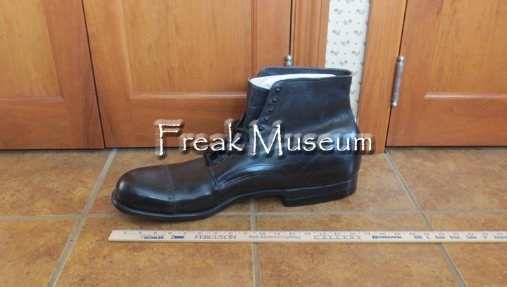 Freak Museum A Private Collection: Robert Wadlow