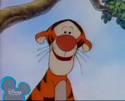 The New Adventures of Winnie The Pooh: Tigger's Shoes