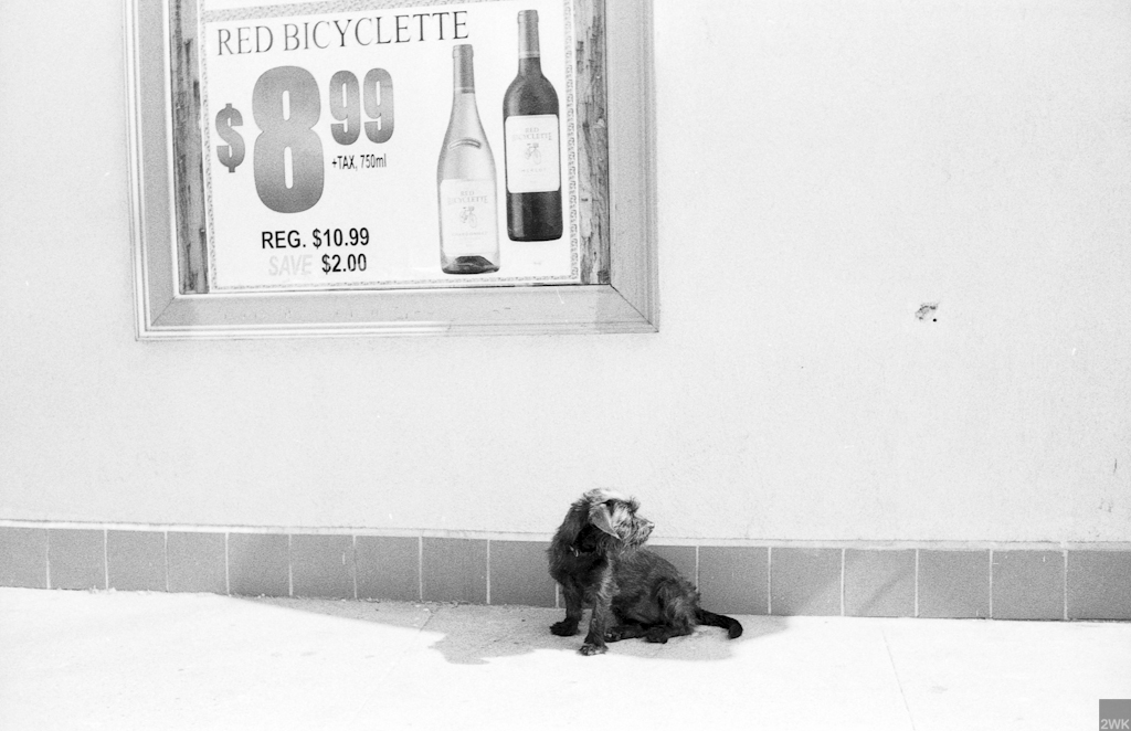 Mike's Journal: underexposed & overdeveloped