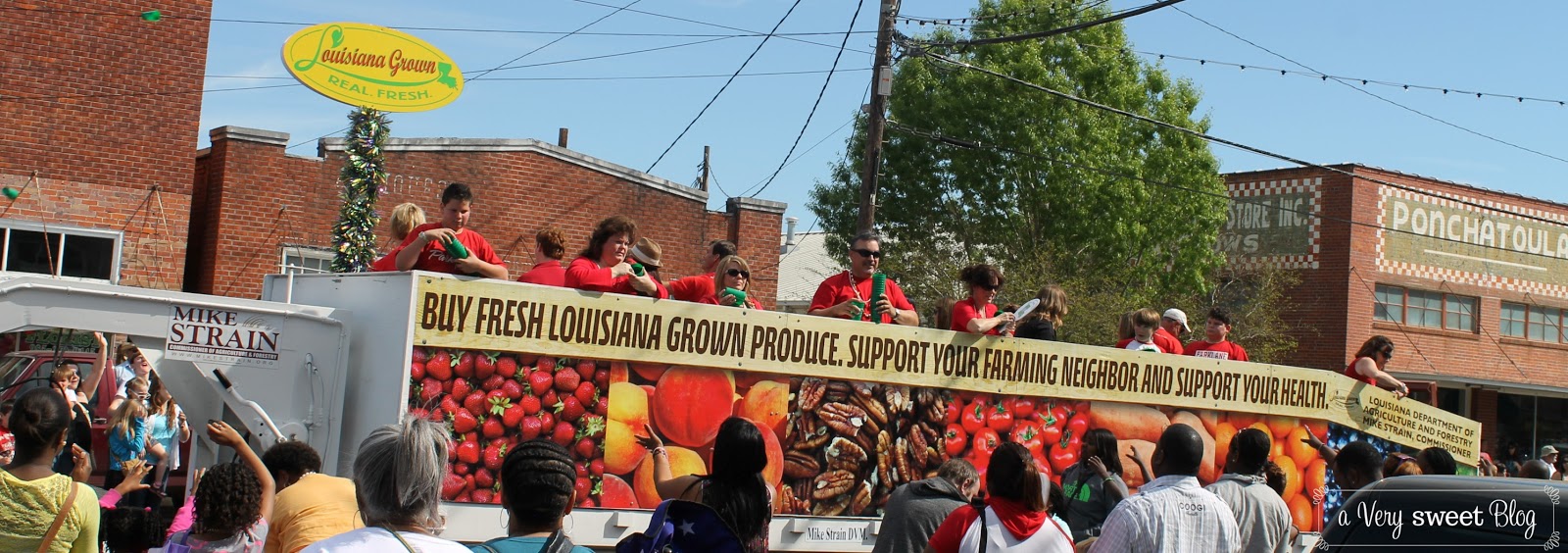 Ponchatoula Strawberry Festival: A Berry Good Time! | A Very Sweet Blog