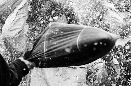 cathaloves: pillow fight : exploding white feathers