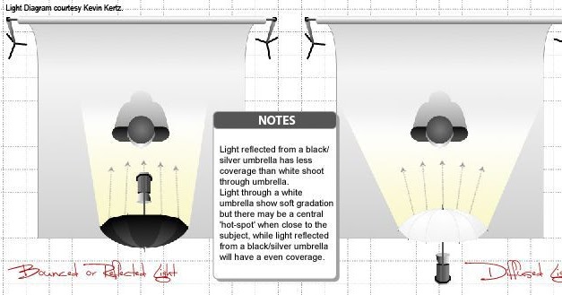 - PHOTO CAMERA TIPS -: Shoot Through vs Reflective umbrellas