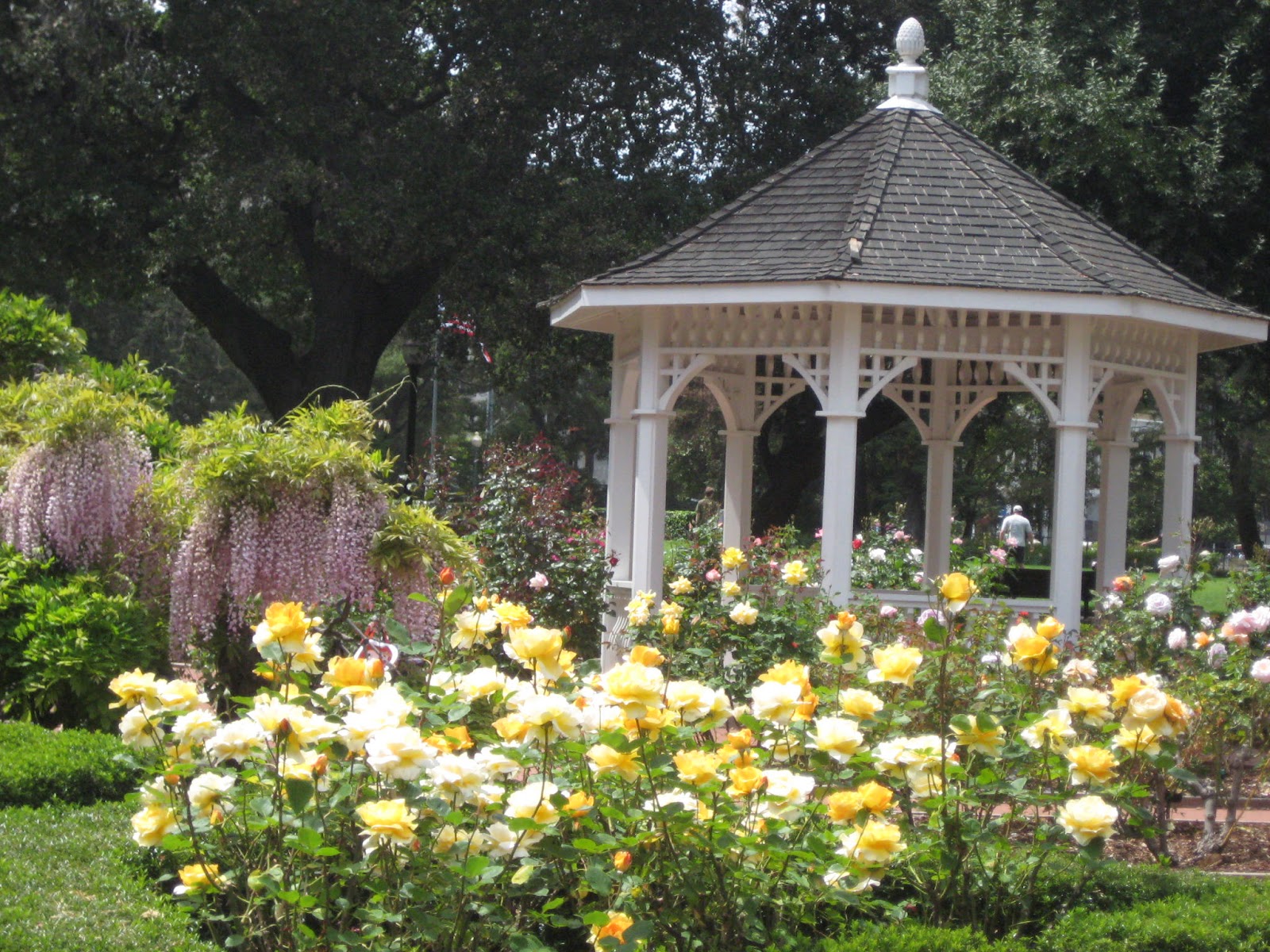 Cheryl and William: San Mateo Central Park