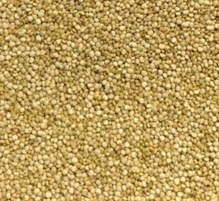 Dental Health-foods and nutrition advice from Altman Dental: Quinoa ...