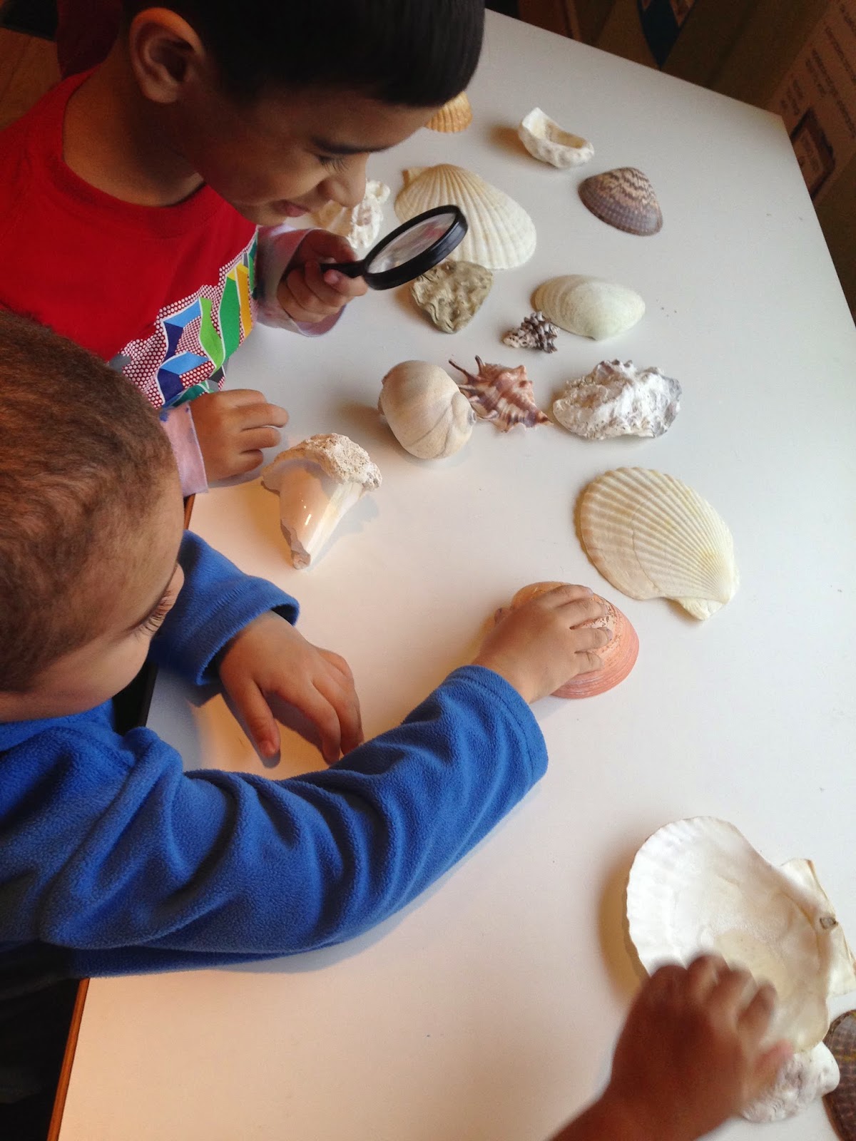 Sprouts Of Iman Preschool: Exploring Sea Shells