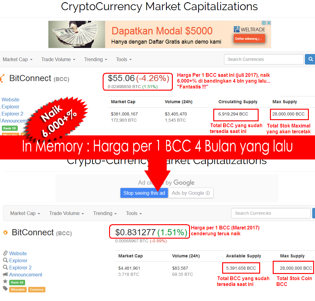 Apa itu Bitconnect | Irman Syaputra