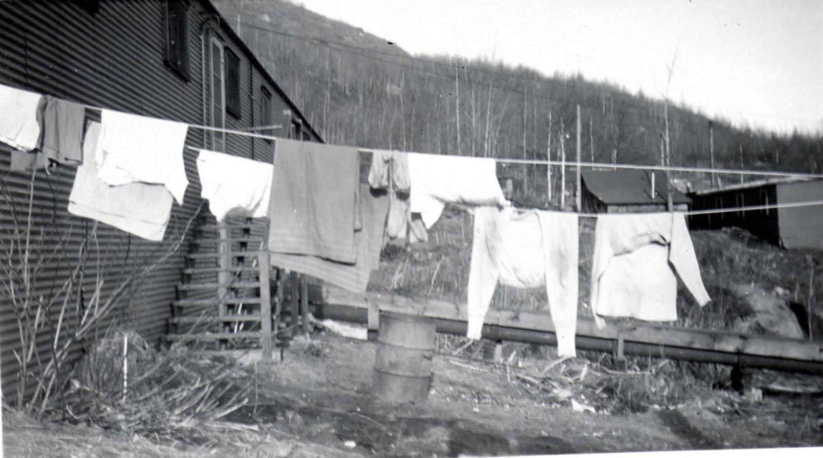 Grampa Stan Stark's Thoughts: The Buffalo Mine near Palmer Alaska