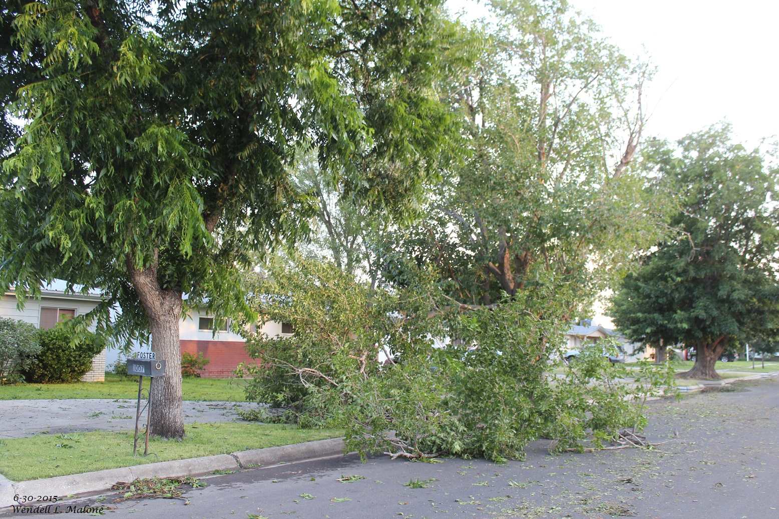 Wet Microburst Causes Tree Damage In Carlsbad, NM Monday 6-29-2015.