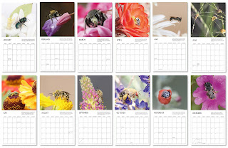 Bees in your backyard: Native Bees in Your Backyard 2018 Calendar