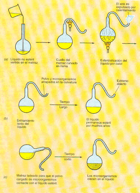 Blog de Biología: enero 2014