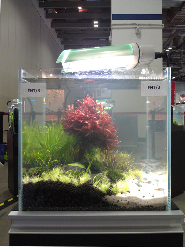 Aquatic Art: Aquarama 2013 Planted Tank Competition