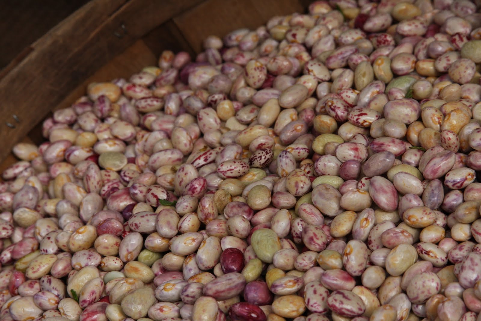 What Am I Cooking?: Tongue of Fire Beans & Love