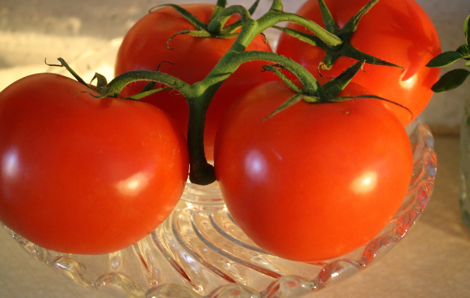 MIN NATUR: Egna eller köpta tomater (Solanum lycopersicum)