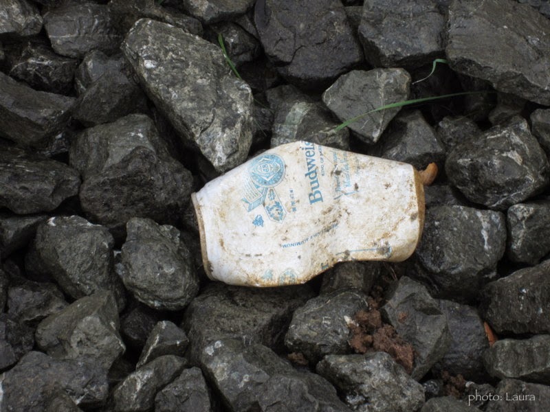 wild women walking: George Miller Regional Trail