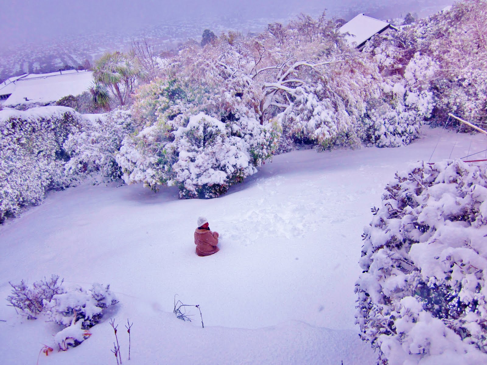 André Bertel's Karate-Do: Christchurch Snow Storm
