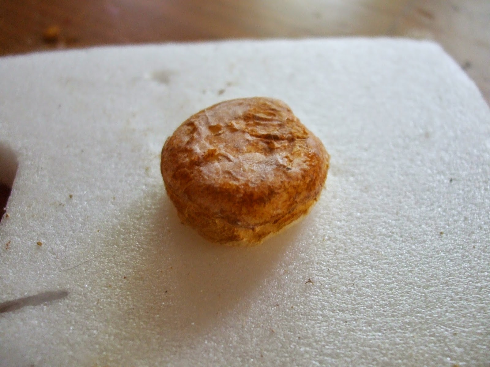 Marianne's Miniverse: My Fimo free bread.