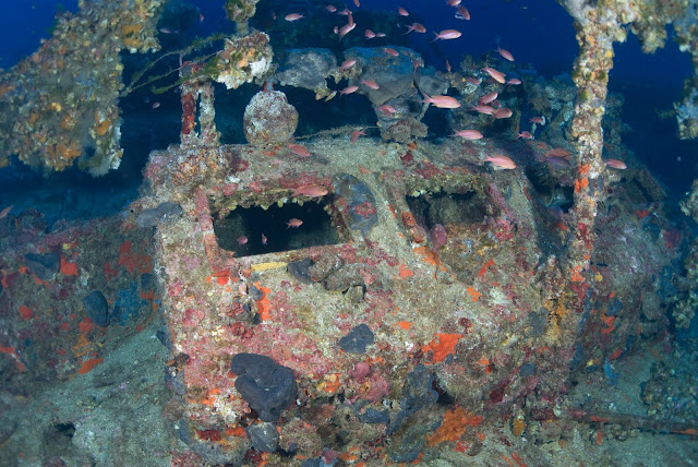 Burdigala: 100 years since the sinking of the second largest shipwreck ...