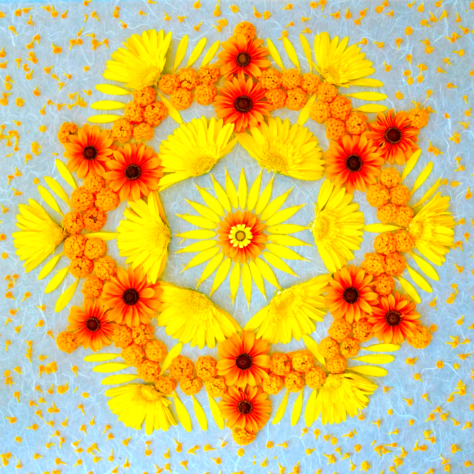 Elemeno P: Kathy Klein