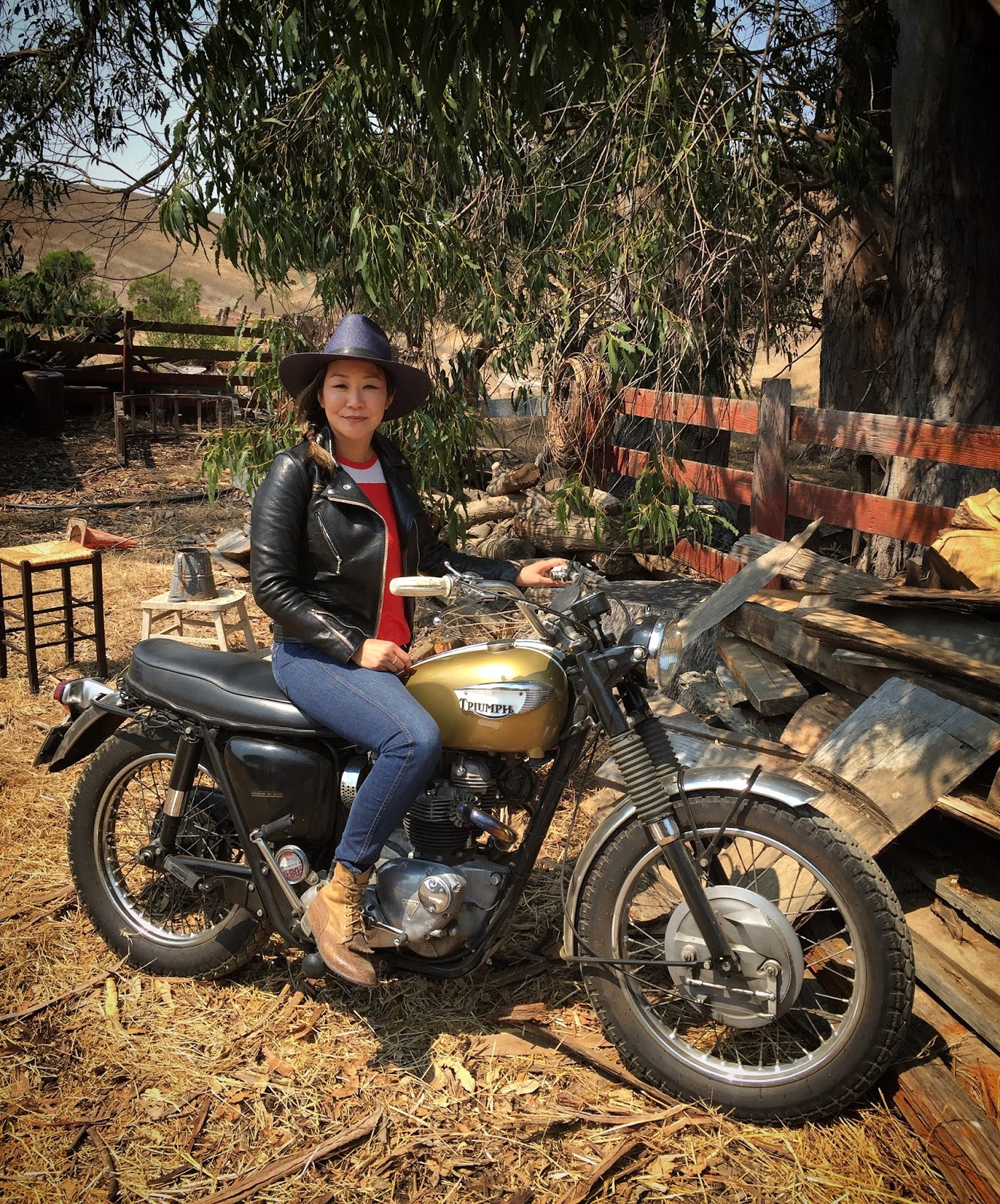 Wheels&waves: Cayucos | Triumph Motorcycle Forum - TriumphTalk