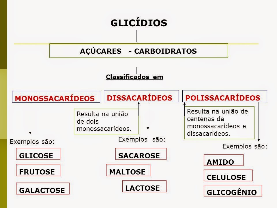 Ciências Exatas e Tecnológicas [Prof. Rogério Almeida]: Carboidratos ...